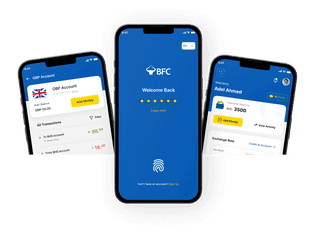 BFC Payments App Case Study | UX/UI Design | Fintech